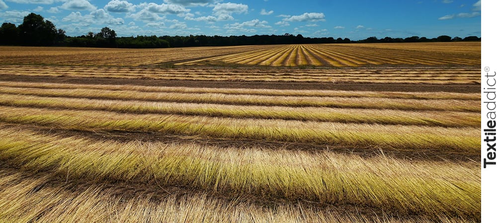 Le lin textile en 6 questions - Textile Addict